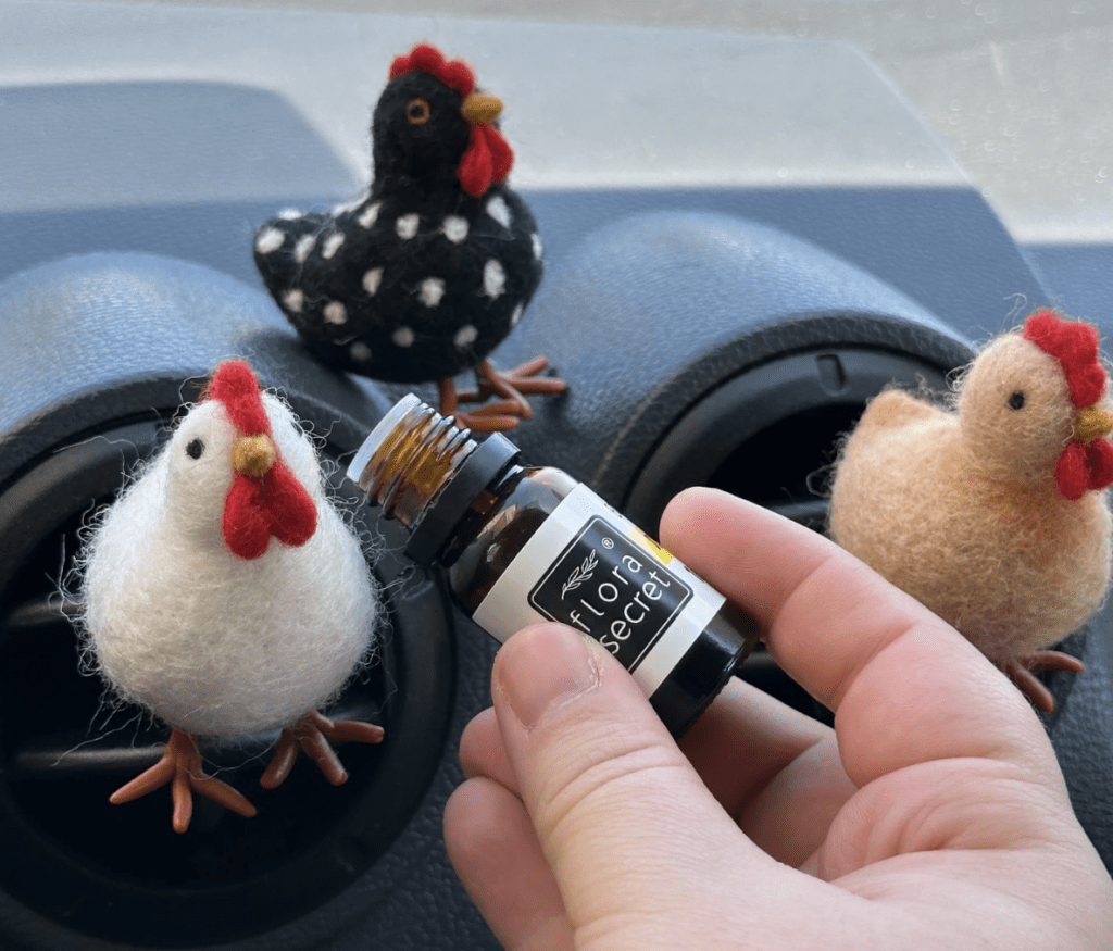25+ Chicken Gifts For The Chicken Lover In Your Life