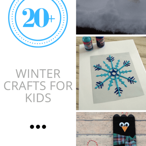 20+ Winter Crafts for Kids - Perfect Cold Weather Indoor Actiivites!