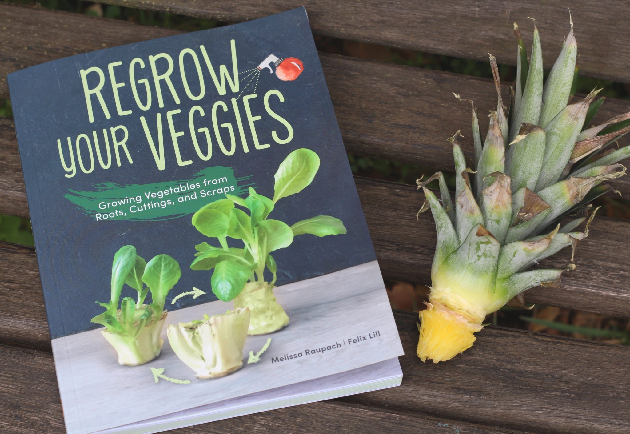 How to Regrow your Vegetables - An Easy Guide Book!