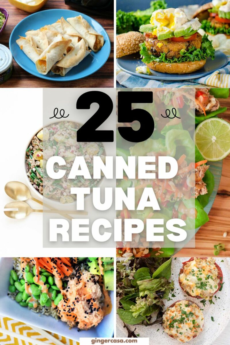 25 Canned Tuna Recipes for Easy Summer Meals! - Ginger Casa