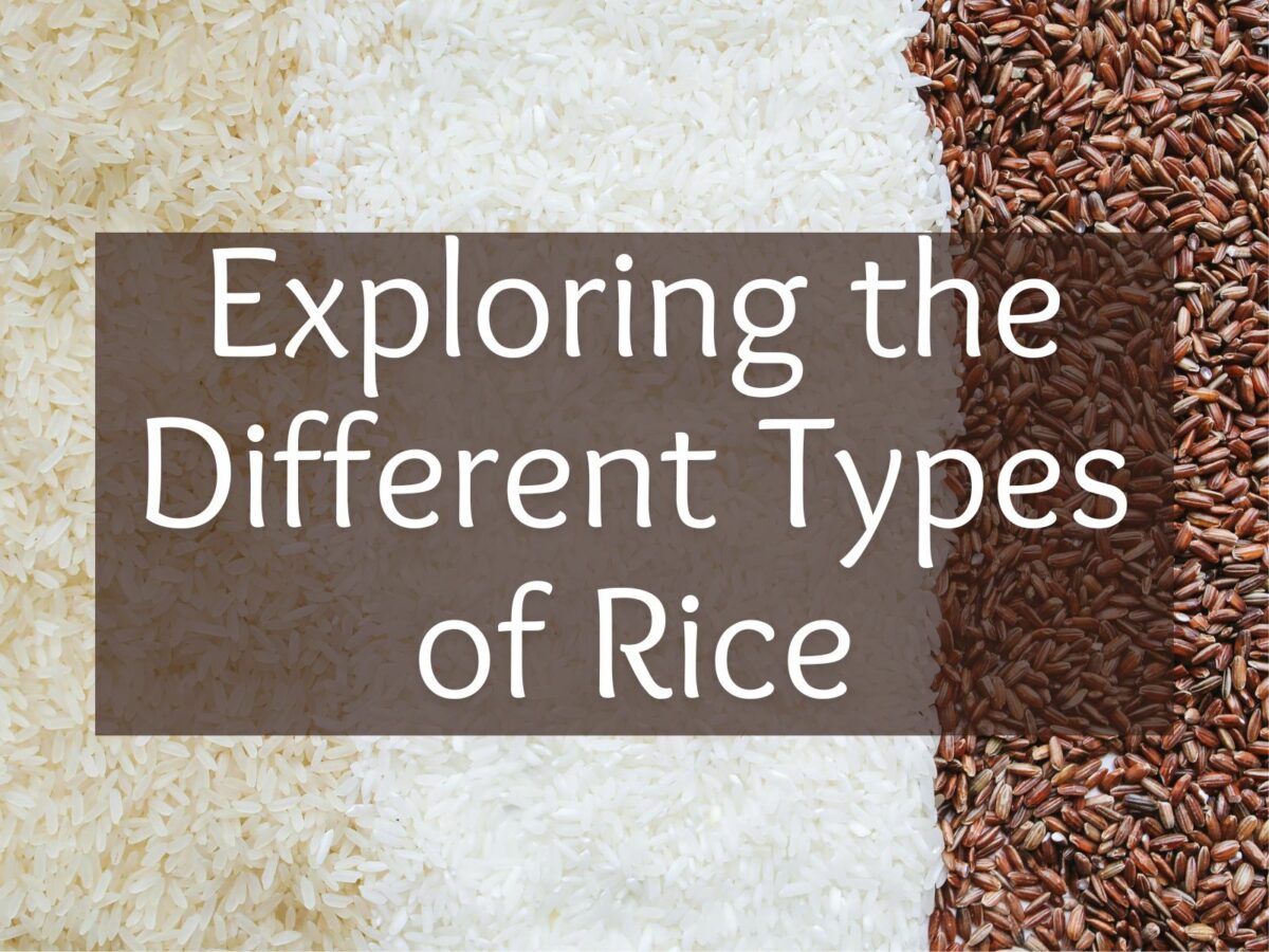 Exploring the Different Types of Rice - Ginger Casa
